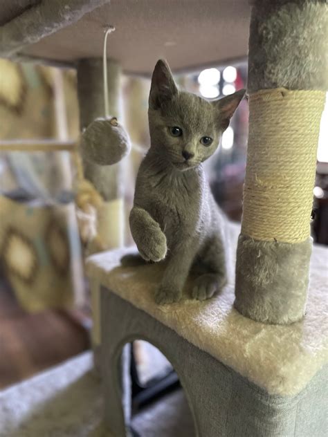 Sarah M Heppelle Added A New Photo Sarah M Heppelle