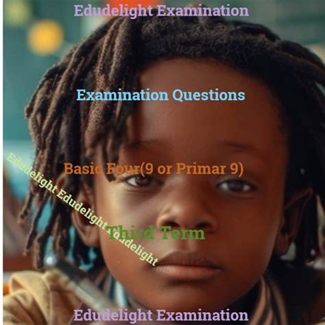 Primary 4 Examination Questions For First Term