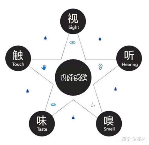 感觉·理解才能更深刻感觉 知乎