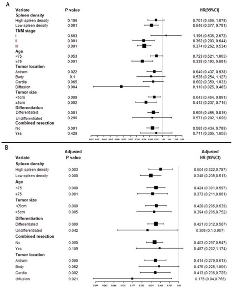 Stratified Analysis Of Adjuvant Chemotherapy Benefit The Forest Plot Download Scientific