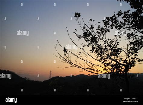 SUNSET AND THE TREE SHADOW Stock Photo Alamy