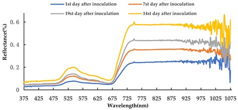 Epidemic Of Wheat Stripe Rust Detected By Hyperspectral Remote Sensing And Its Potential