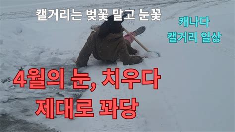 Vlog 한국은 벚꽃이 피고지고 이곳은 꽃은 커녕 눈 가득하고 그 눈 치우느라 체력훈련은 덤 엉덩방아는 필수 캐나다 캘거리에 사는 이야기 YouTube