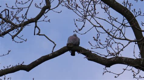 Img1910 2 Bug Woman Adventures In London