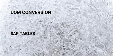Uom Conversion Table In Sap