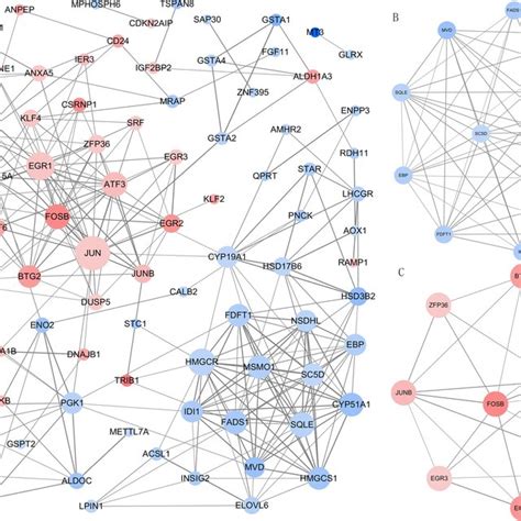 The Ppi Network And Modular Analysis A The Ppi Network Of Degs B