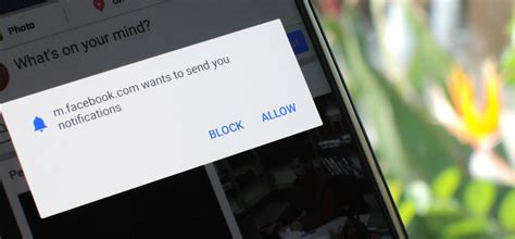 Chrome 101 How To Make Sites Stop Asking To Show Notifications