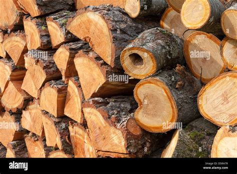 Stack Of Logs Stock Photo Alamy