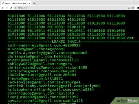 Pretend Hacker Screen