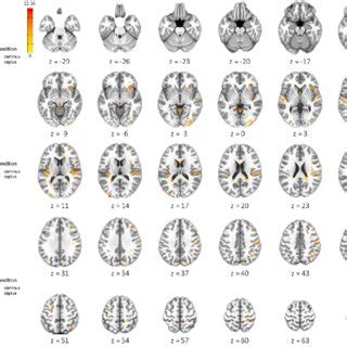 Task Ratings And Activation Network For Condition CS CS By Time Download Scientific