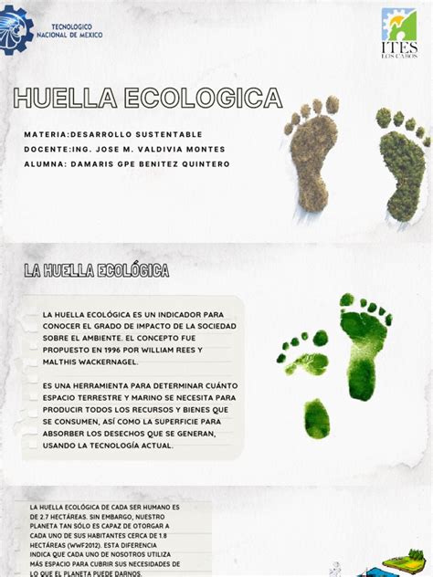Huella Ecológica Pdf Desarrollo Sostenible Economias