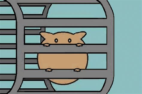 Hamster Wheel S 70 Animated Rodents Run In A Wheel