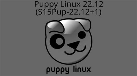 Puppy Linux The Last Stable Version Of The Year Is Available