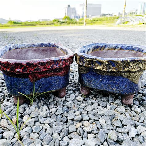 다육이 화분 도매 전문