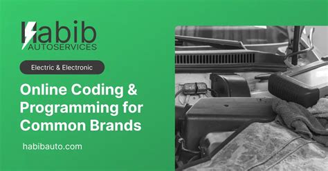 Online Coding And Programming Habib Auto Services Limassol