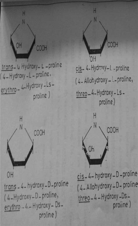Structure Of Hydroxyproline Download Scientific Diagram
