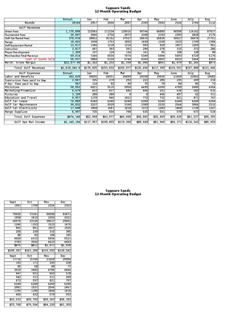Operating Budget Pdf Finance And Money Management