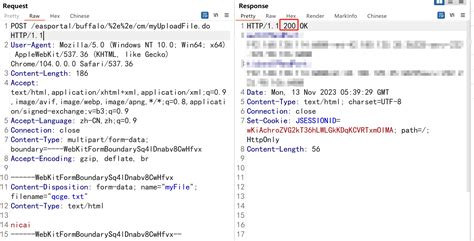 文件上传的poc问题 Issue shadow ng fscan GitHub