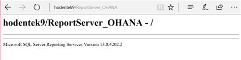 HodentekMSSS Problem With SQL Server Reporting Servie