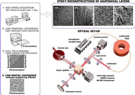 Figure 1 From Spatio Temporal Optical Coherence Tomography Provides Full Thickness Imaging Of