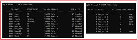 EXISTS Operator in Oracle with Examples - Dot Net Tutorials