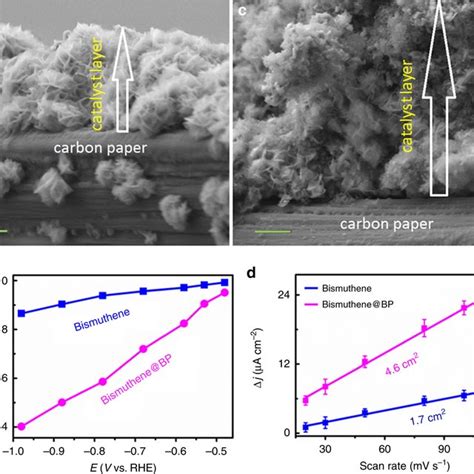 Bp Induced Enhancement Of Co2rr Performance On Bismuthene A Sem Image