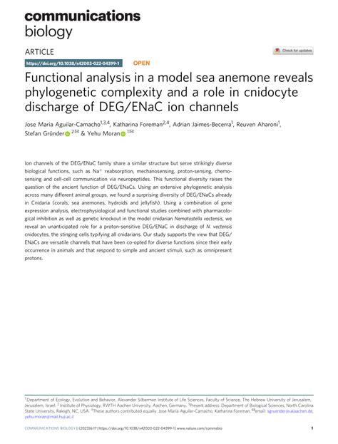 pdf functional analysis in a model sea anemone reveals phylogenetic