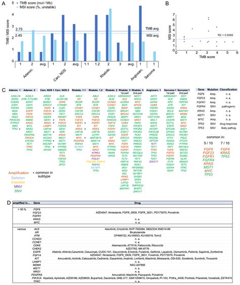 A B Illustration Of The Tumor Mutational Burden Tmb Mutations