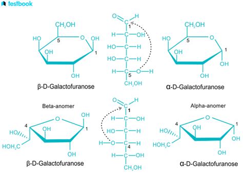 Formula Estrutural Da Galactose