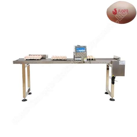 Egg Expire Date Printer Laser Marking Machine For Eggs Eggs Marking Laser Machine Machine Egg