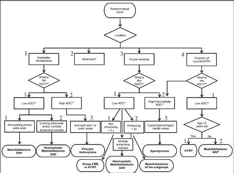 Figure 1 From A Diagnostic Algorithm For Posterior Fossa Tumors In