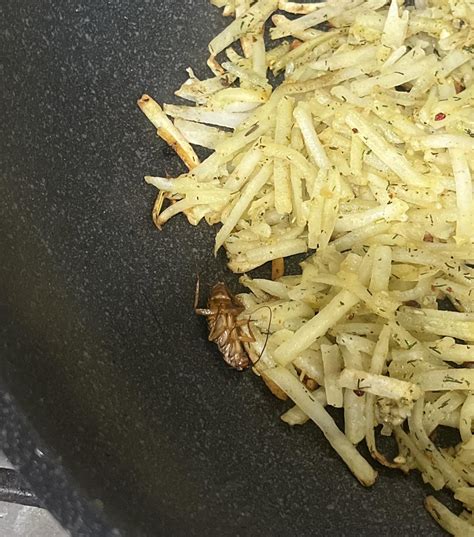 Roach Crawled Into My Food And Died While I Was Cooking It R