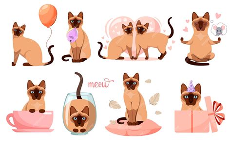 Premium Vector A Set Of Funny Siamese Cats On A White Background