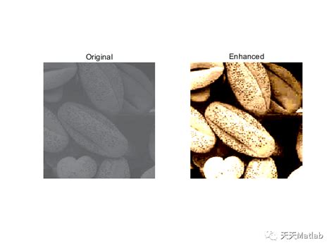 【图像增强】基于萤火虫算法实现图像对比度增强附matlab代码 csdn博客