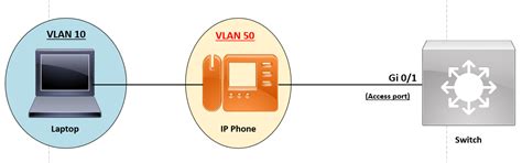 Voice VLAN Explained And Configuration Step By Step Guide Learn Duty