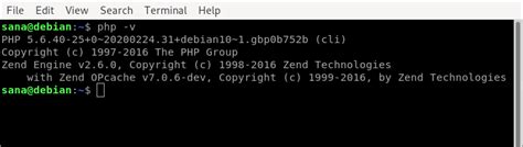 Installing Php 8 On Debian 10 Vitux