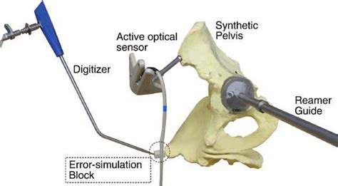 Test Setup For The Variation Analysis Of The Acetabular Socket Orientation Download
