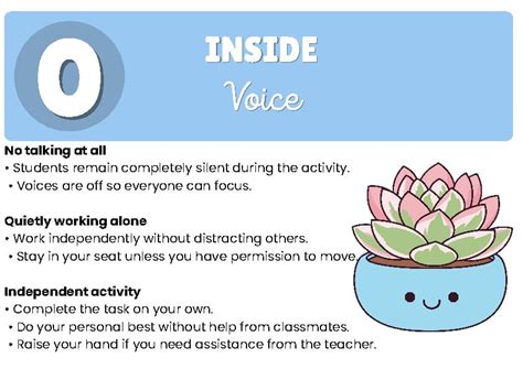 Voice Chart Behavior By Natalie Tarradell Tpt