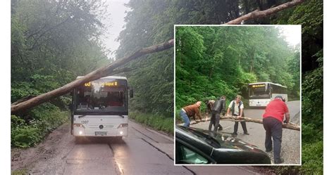 Пътници отпушват градския транспорт за Витоша