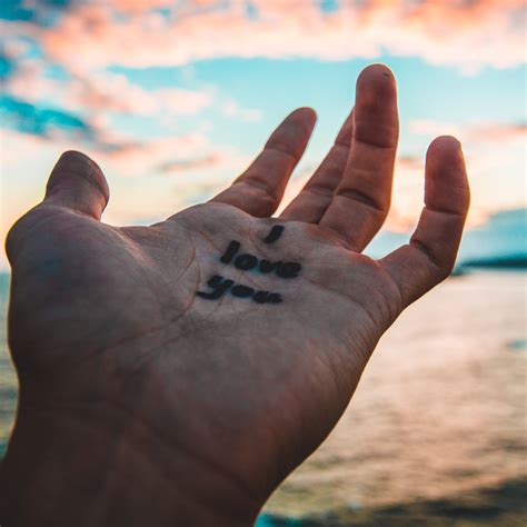 배경 화면 명 손바닥 안에 감추다 애정 3987x3987 Wallhaven 1249165 배경 화면 Wallhere