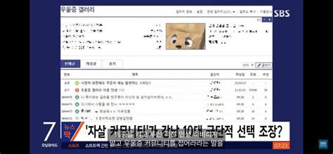 우울증 갤러리 사건 지상파 뉴스 탔네 유머 움짤 이슈 에펨코리아