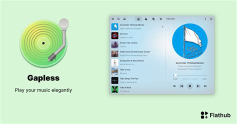 Installar Gapless Sur Linux Flathub