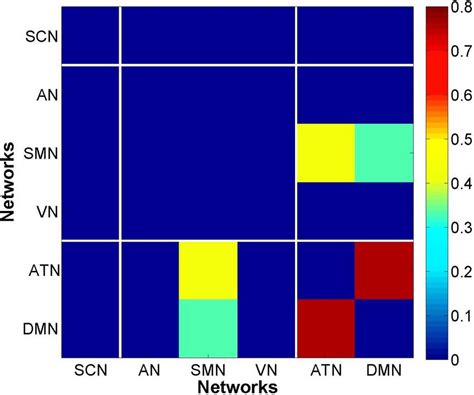comparison of between network functional connectivity measured by rv
