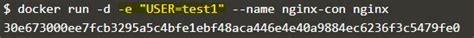 Docker Run Command How Run Command Works In Docker Examples