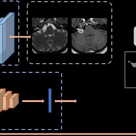 Overview Of The Proposed Unsupervised Domain Adaptation Segmentation Download Scientific