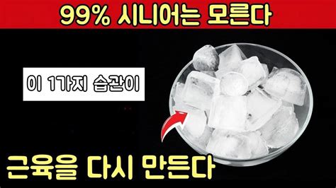 노년층 여러분 하루 1가지 습관으로 근육 힘을 회복하세요 마치 40대로 되돌아간 것처럼스마트이팅 시니어건강 헬시라이프 Youtube
