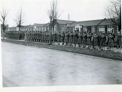 6888th Central Postal Directory Battalion The Army Historical Foundation