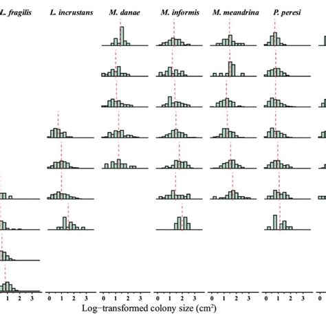 A Nmds Ordination Plot Based On Bray Curtis Dissimilarity Matrices
