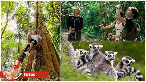 14 Vietnam National Park Wonders Best Journey For Trekkers