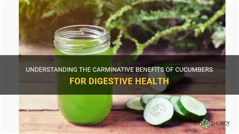 Understanding The Carminative Benefits Of Cucumbers For Digestive